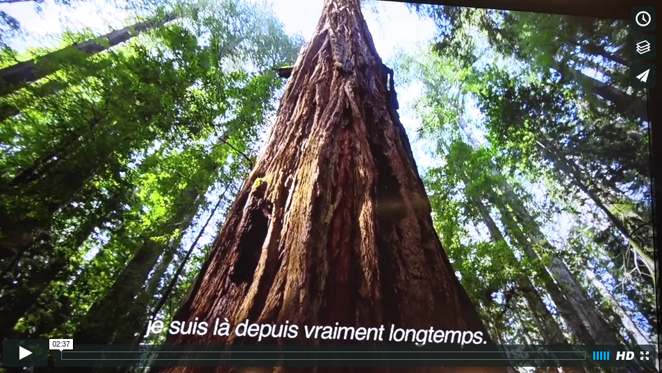 COP 21 Nature is Speaking – Mother Channel