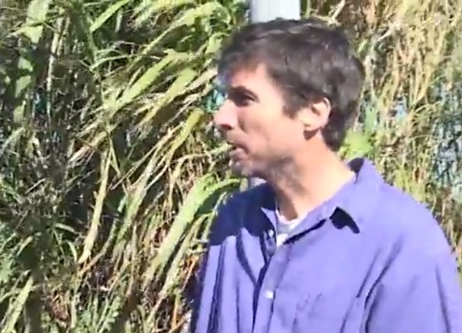 Luke Boshier – Sustainable Farming – Part 3 – Mother Channel