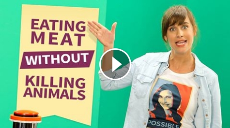 Meat without killing animals – Mother Channel