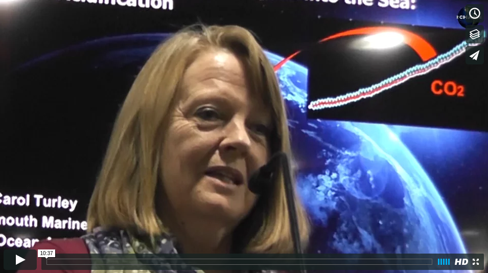 COP 20 US Center Panel Speakers on Ocean Acidification & Adaptation ...