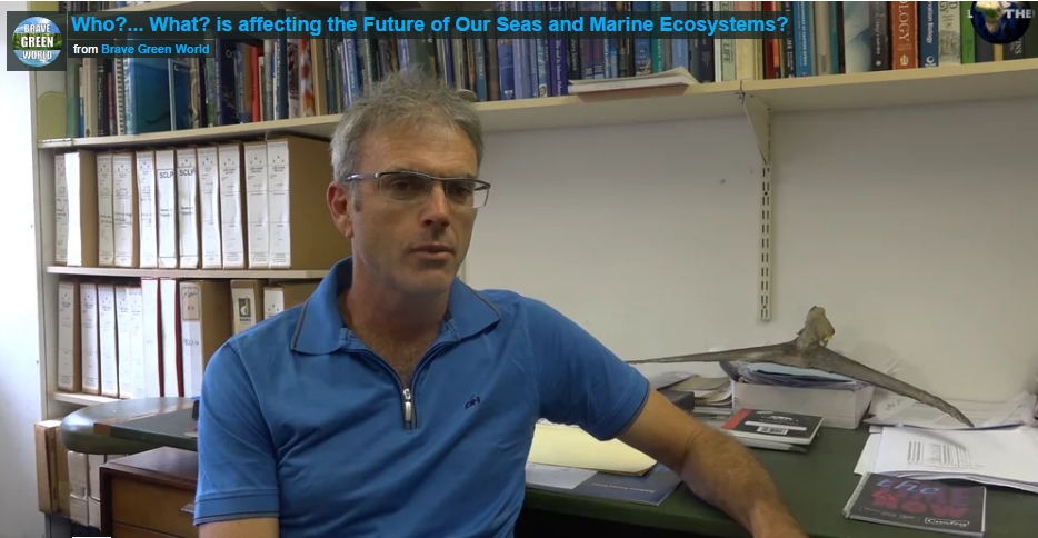 Who?... What? is affecting the Future of Our Seas and Marine Ecosystems ...